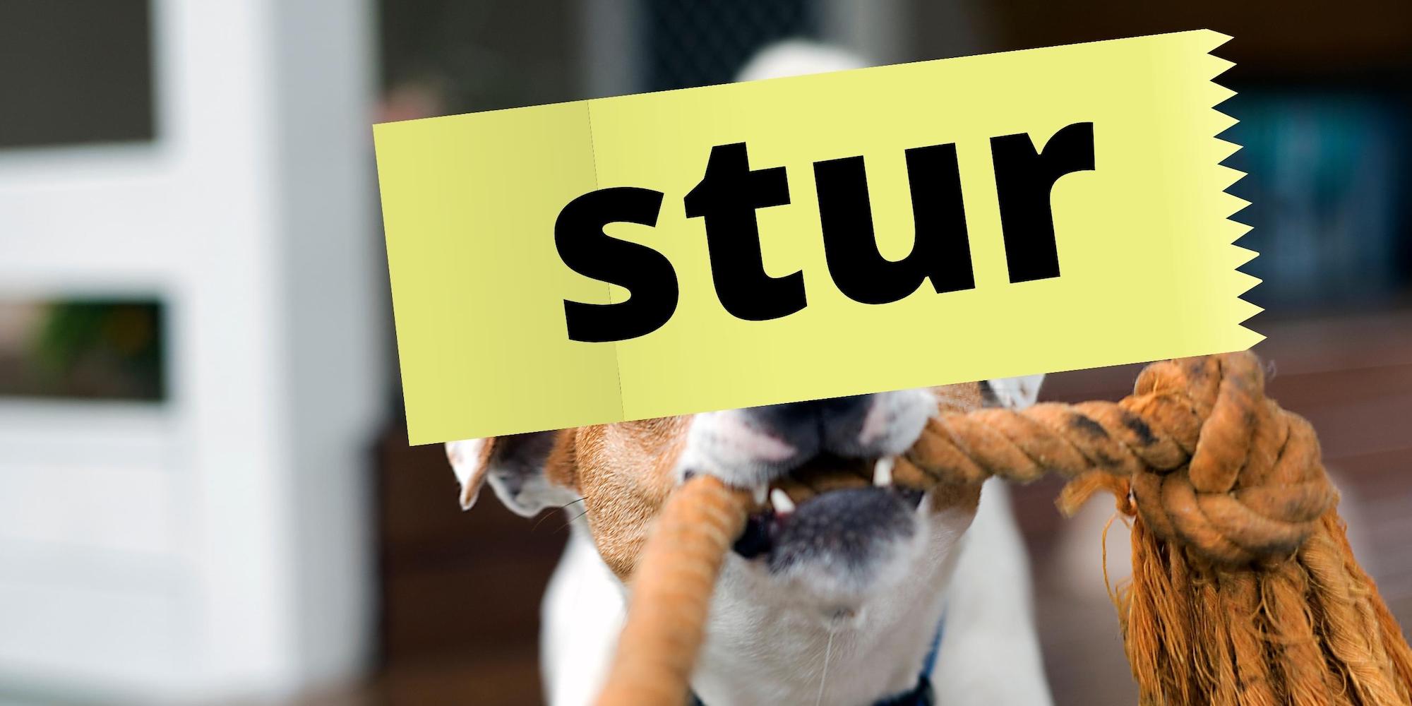 Labeling Approach oder: Kleb kein Etikett auf deinen Hund! - Feine Maus!